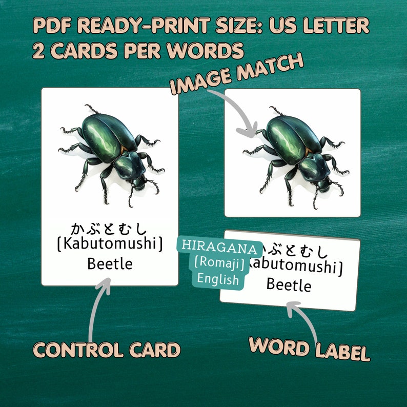 Japanese English Study Bugs and Insects Flashcards - Hiragana Cards ...