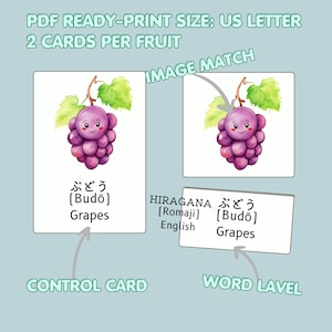 Japanese English Study Kawaii Fruit Flashcards - Hiragana Flashcards ...