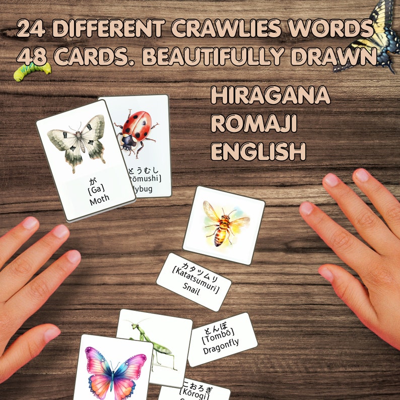 Japanese English Study Bugs and Insects Flashcards - Hiragana Cards ...