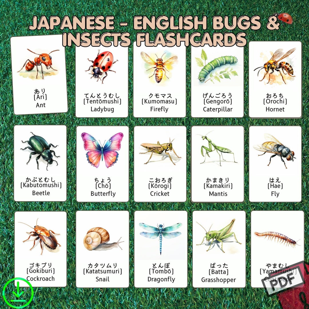 Japanese English Study Bugs and Insects Flashcards - Hiragana Cards ...