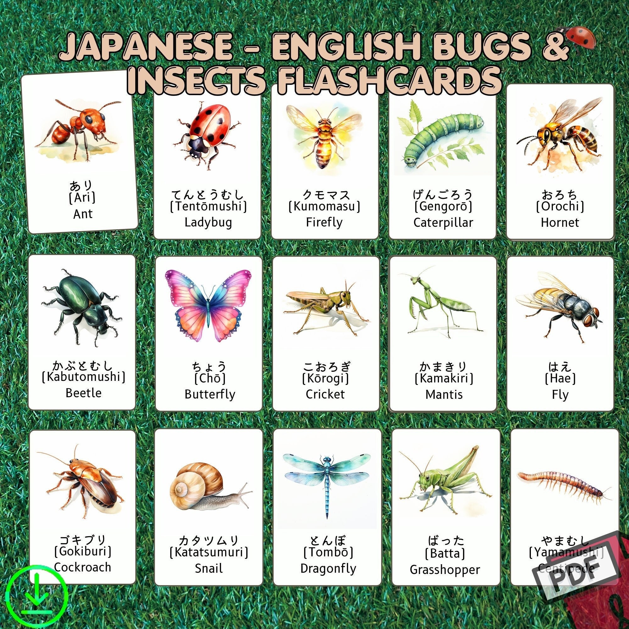 Japanese English Study Bugs and Insects Flashcards - Hiragana Cards ...