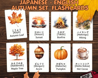 Japanese English Study School Days Theme Flashcards Hiragana - Etsy