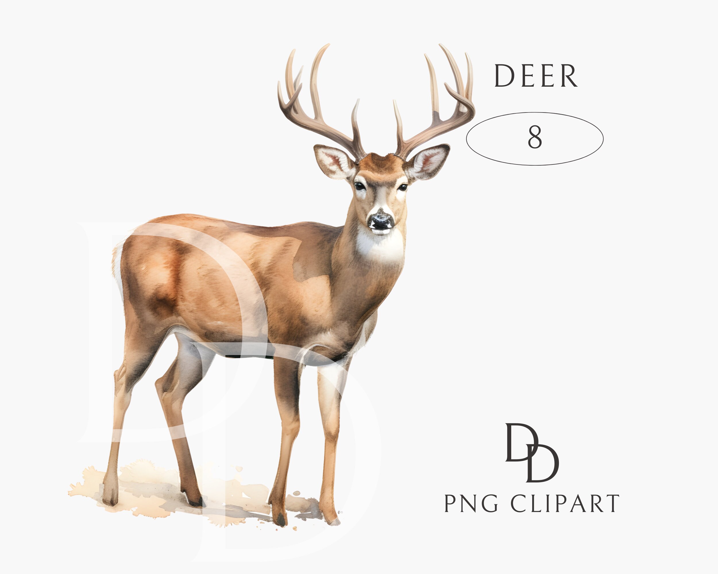 Watercolor Deer and Doe Clipart Transparent PNG for Digital Design ...