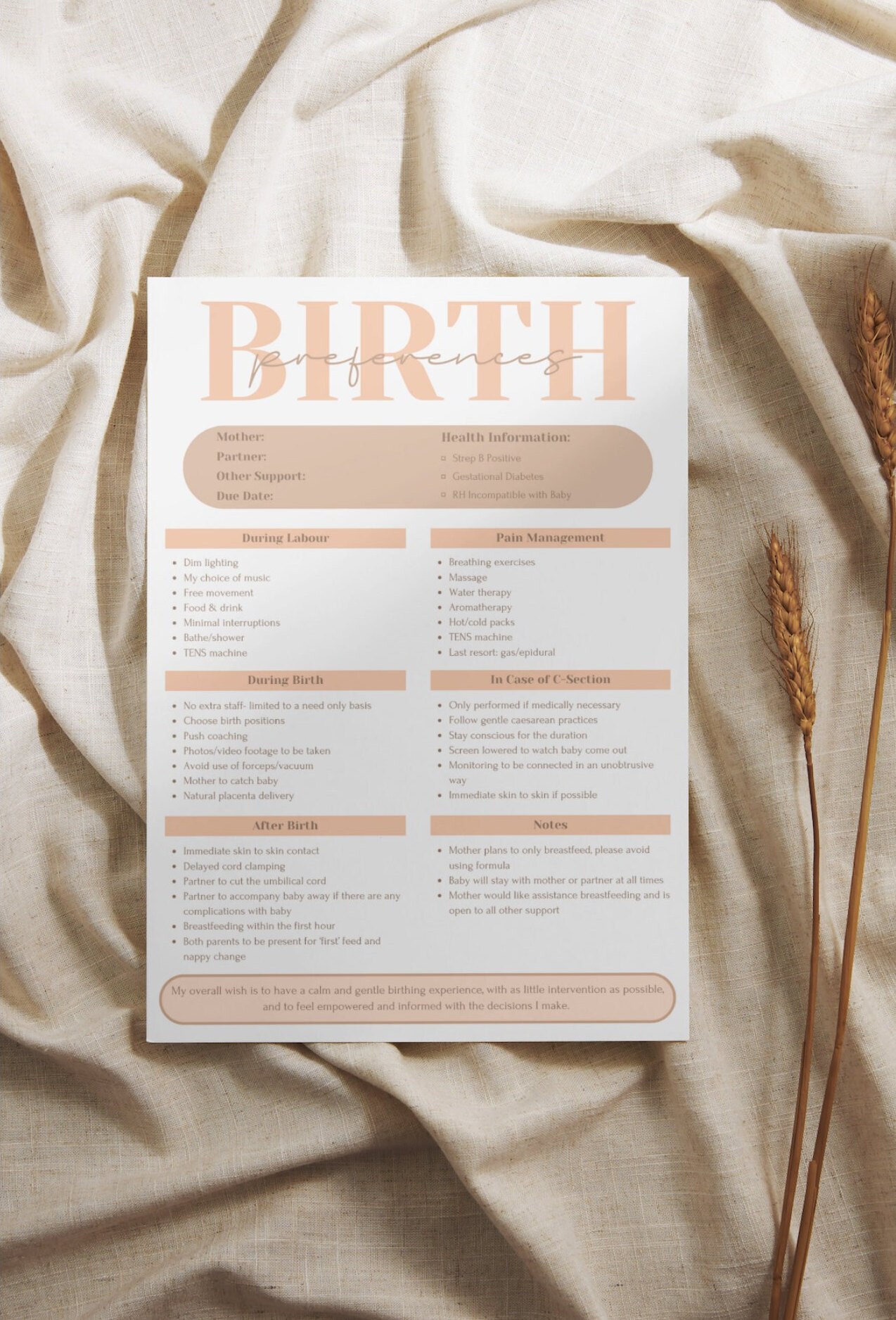 Editable Birth Preferences Template Birth Plan Template - Etsy Australia