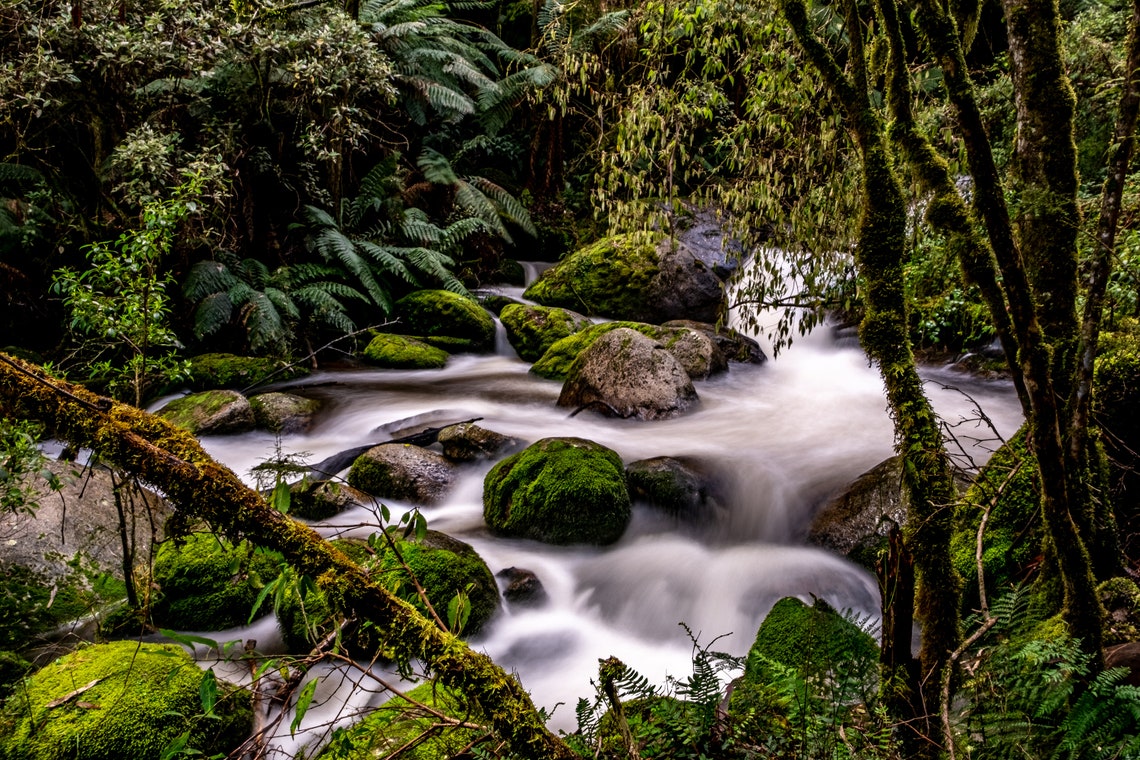 Toorongo Falls River, Nature, Photography, Digital Download, Wall Art ...