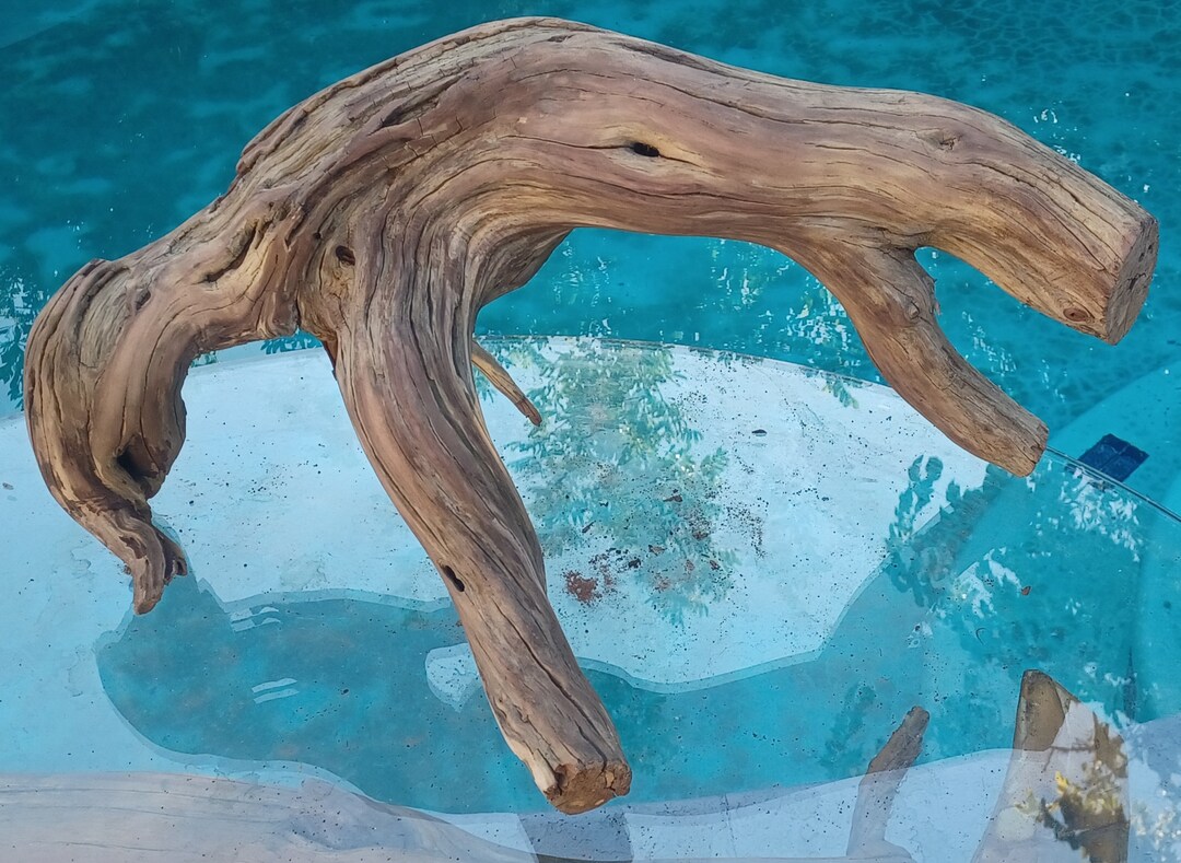 Honey Badger Manzanita Driftwood for Aquarium Terrarium - Etsy