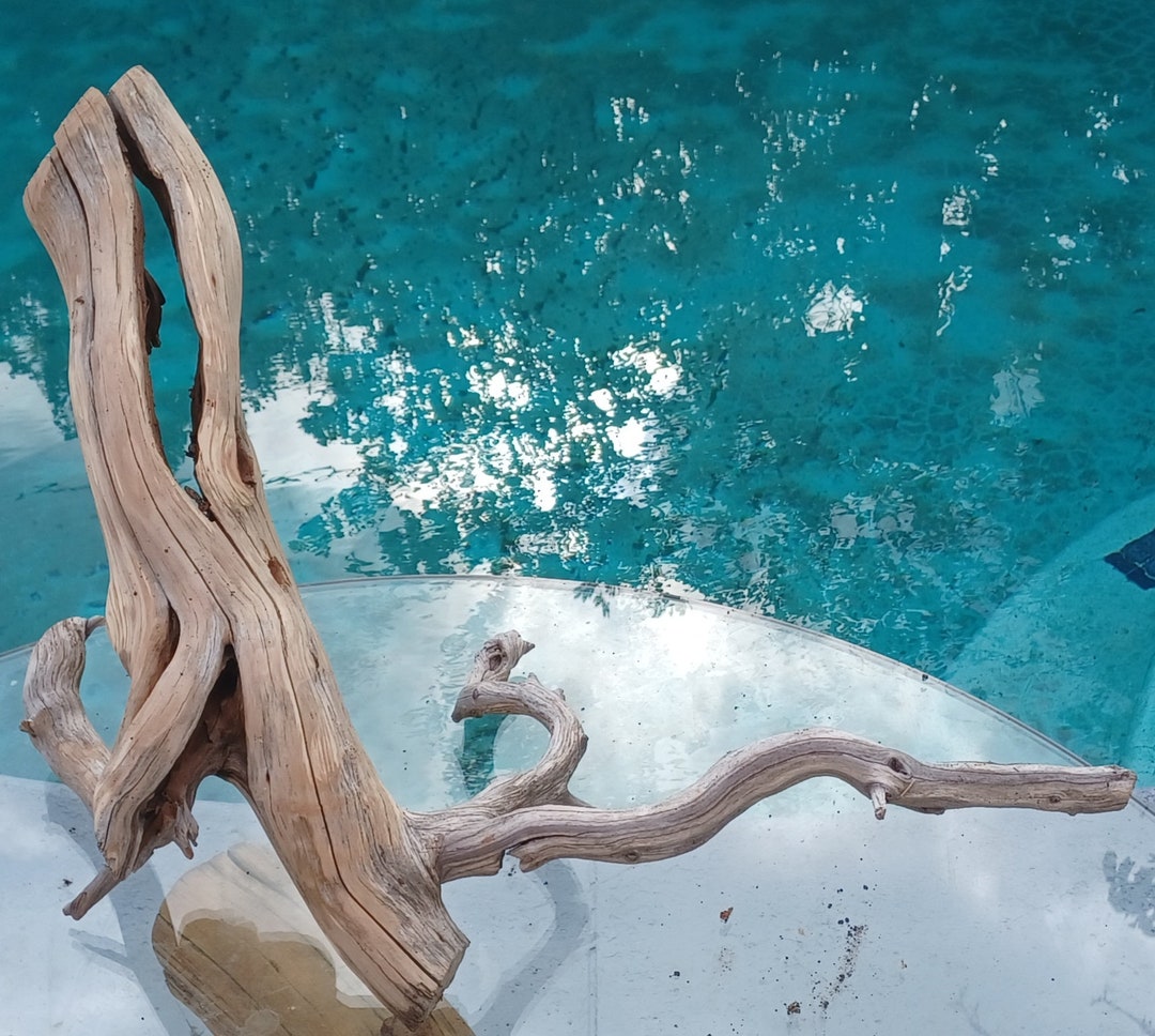 Manzanita Driftwood Stump Table Base Centerpiece Terrarium Aquascape ...