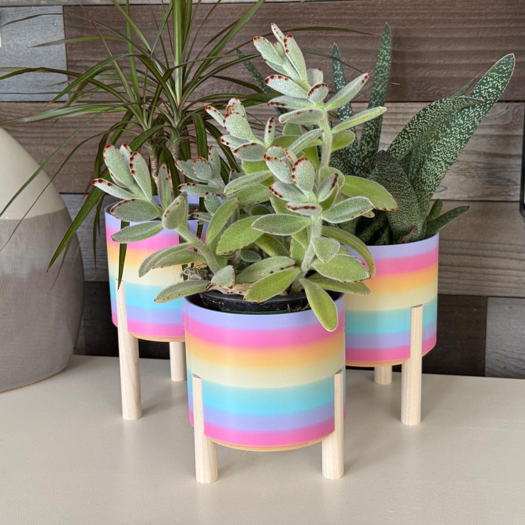 Pastel Rainbow Midcentury Modern Planters, Set of 3 for 4" Round ...