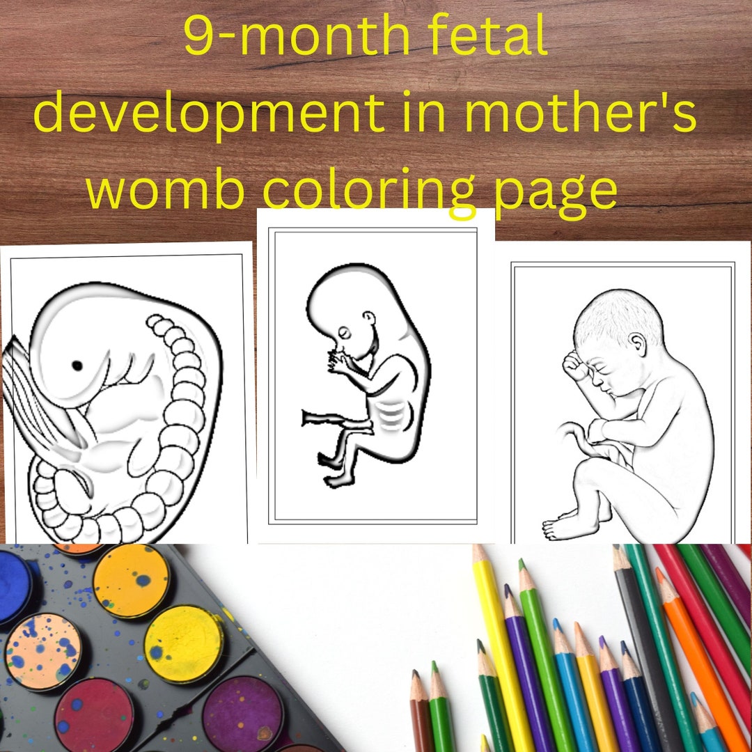 9 Month Fetal Development in Mother's Womb Printable Coloring Pages. - Etsy