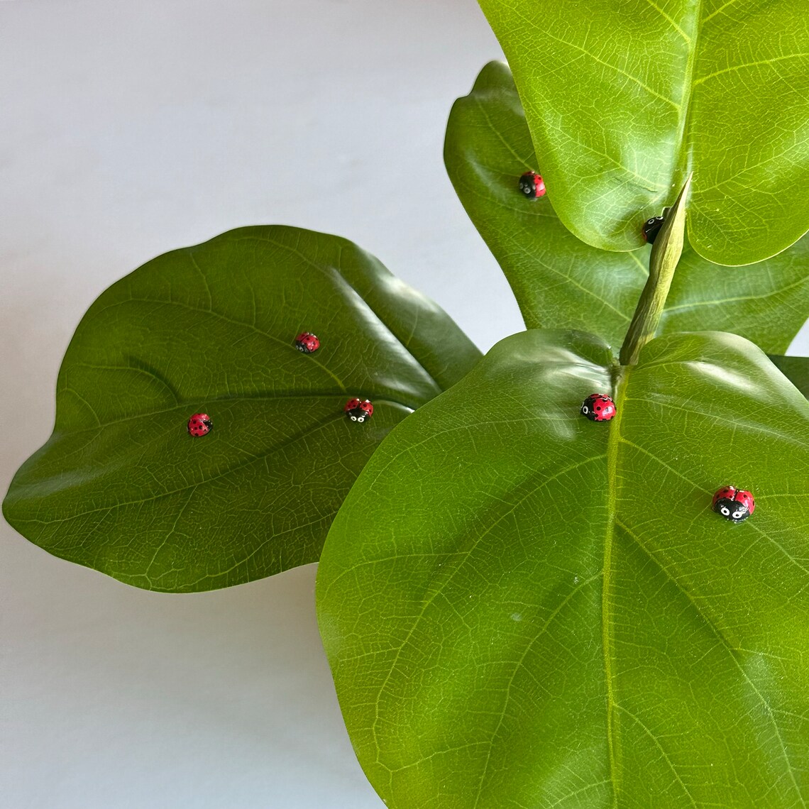 Mini Miniature Clay Ladybugs - Etsy