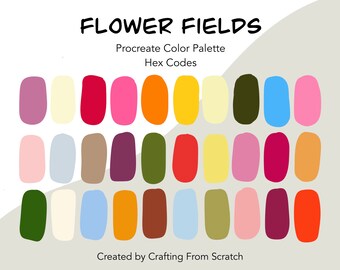 Procreate Color Palette and Hex Code Color Palette Rainbow Bright - Etsy