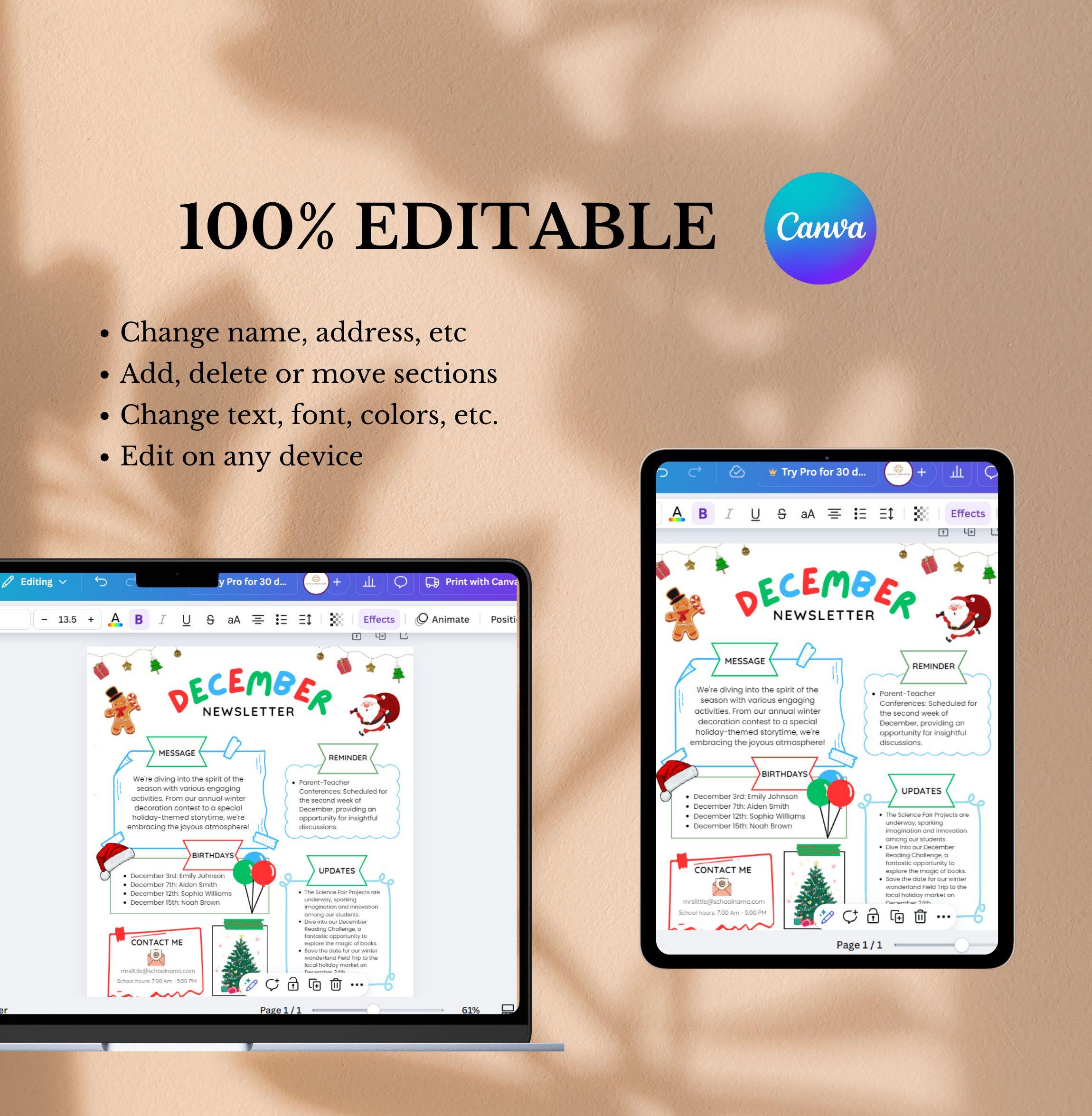 December Newsletter Template, Editable Newsletter, Monthly Newsletter ...