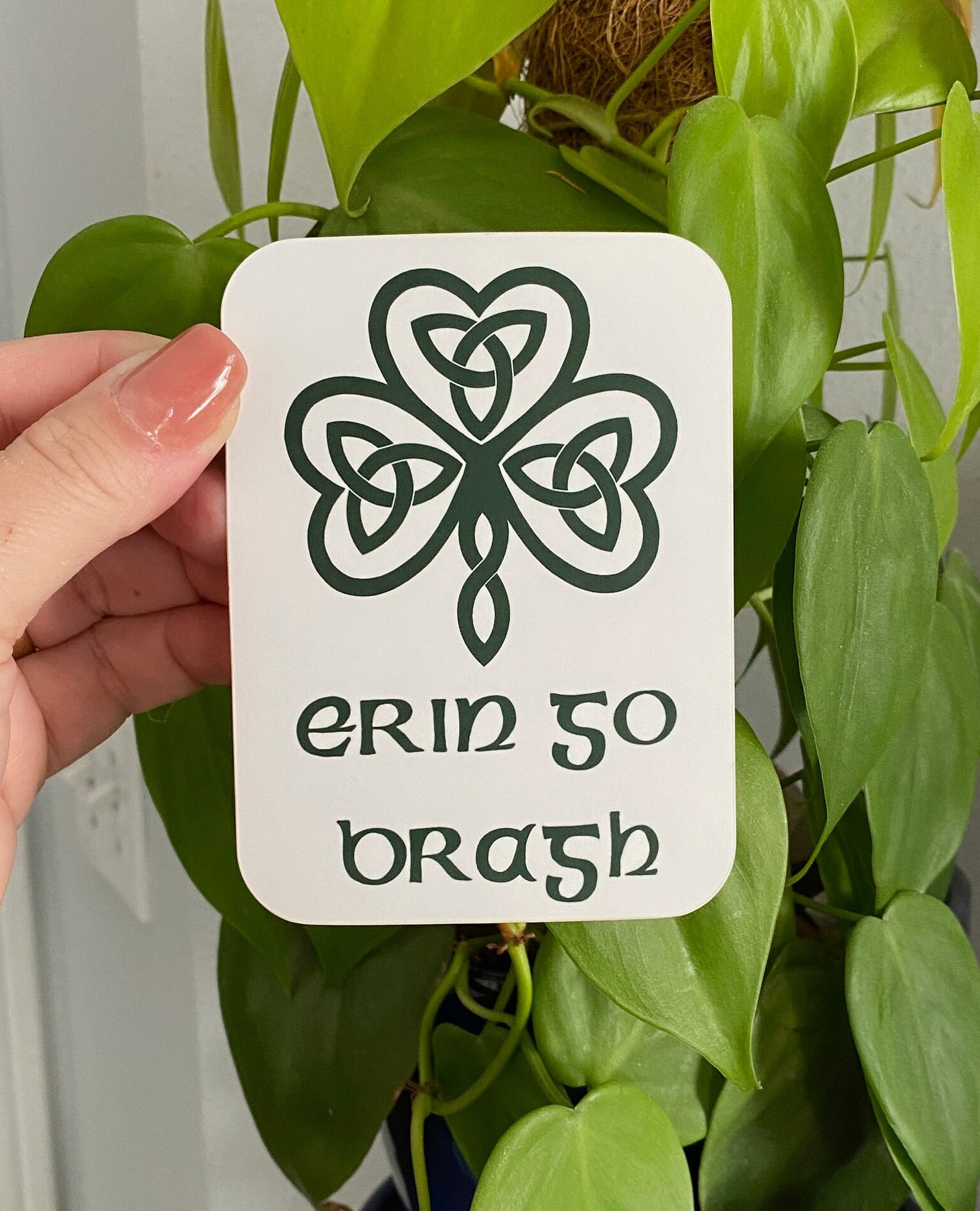 Green and White Celtic Knot Shamrock Erin Go Bragh Sticker Decal - Etsy