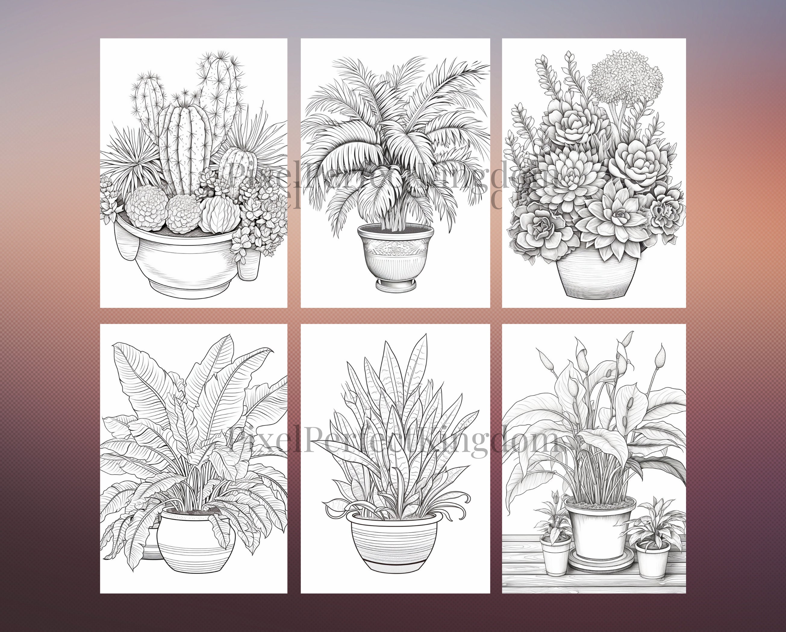 Houseplant Collection Coloring Page, Adults Kids Instant Download ...