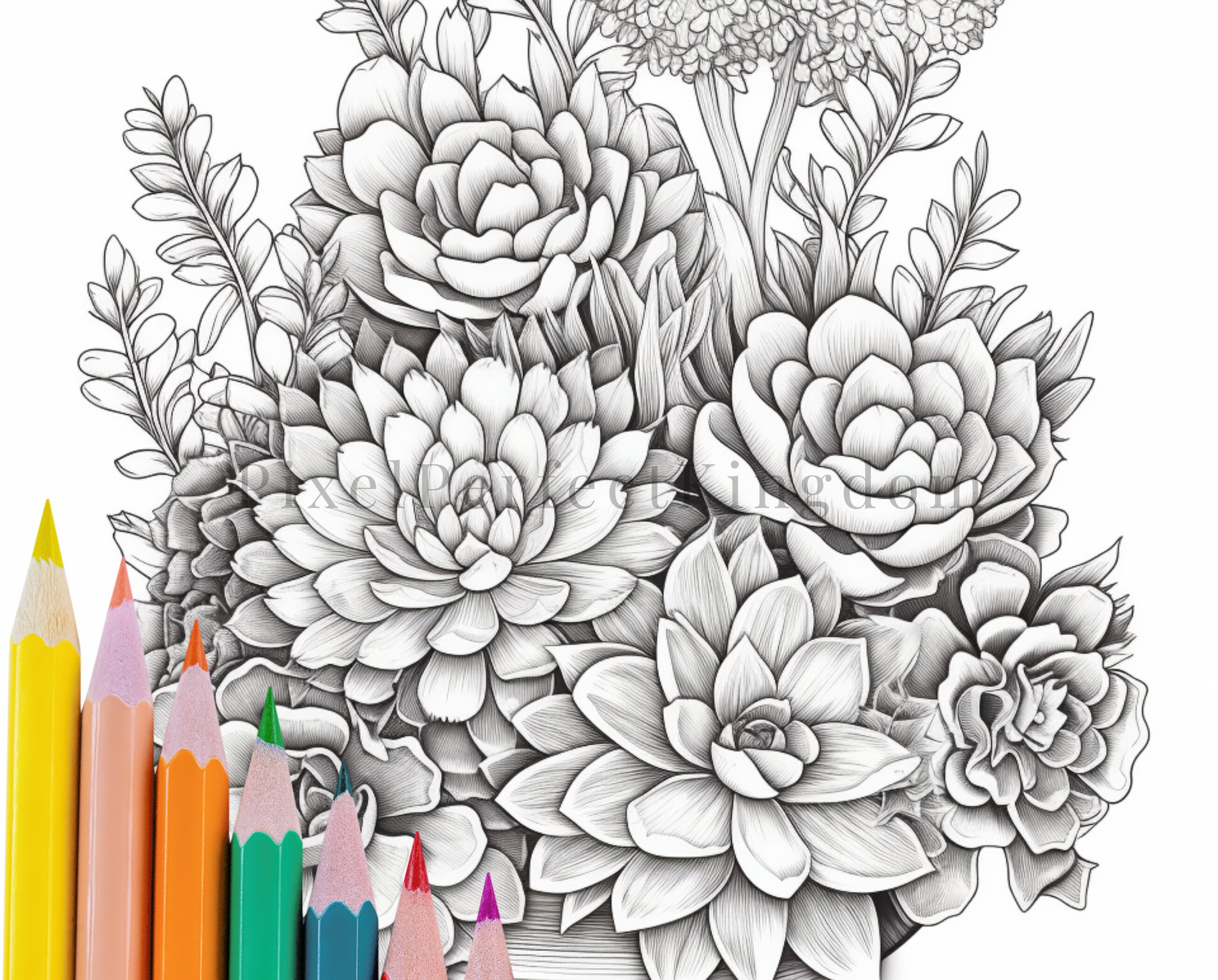 Houseplant Collection Coloring Page, Adults Kids Instant Download ...