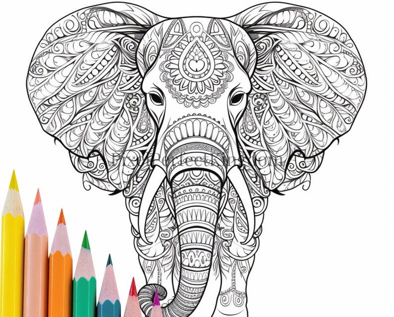 Mandala Coloring Book 50 Page Printable Animal Mandala Design Coloring ...