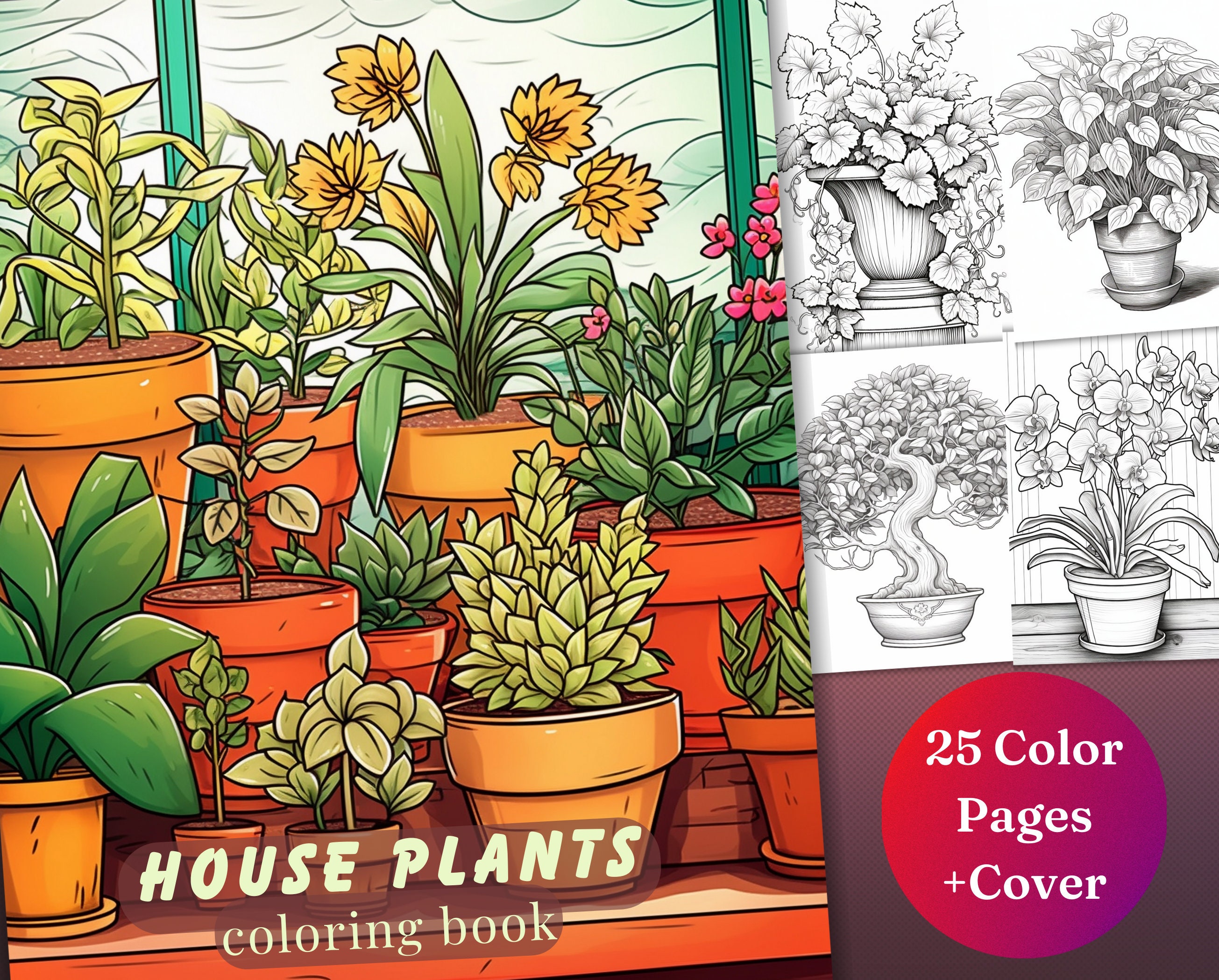 Houseplant Collection Coloring Page, Adults Kids Instant Download ...