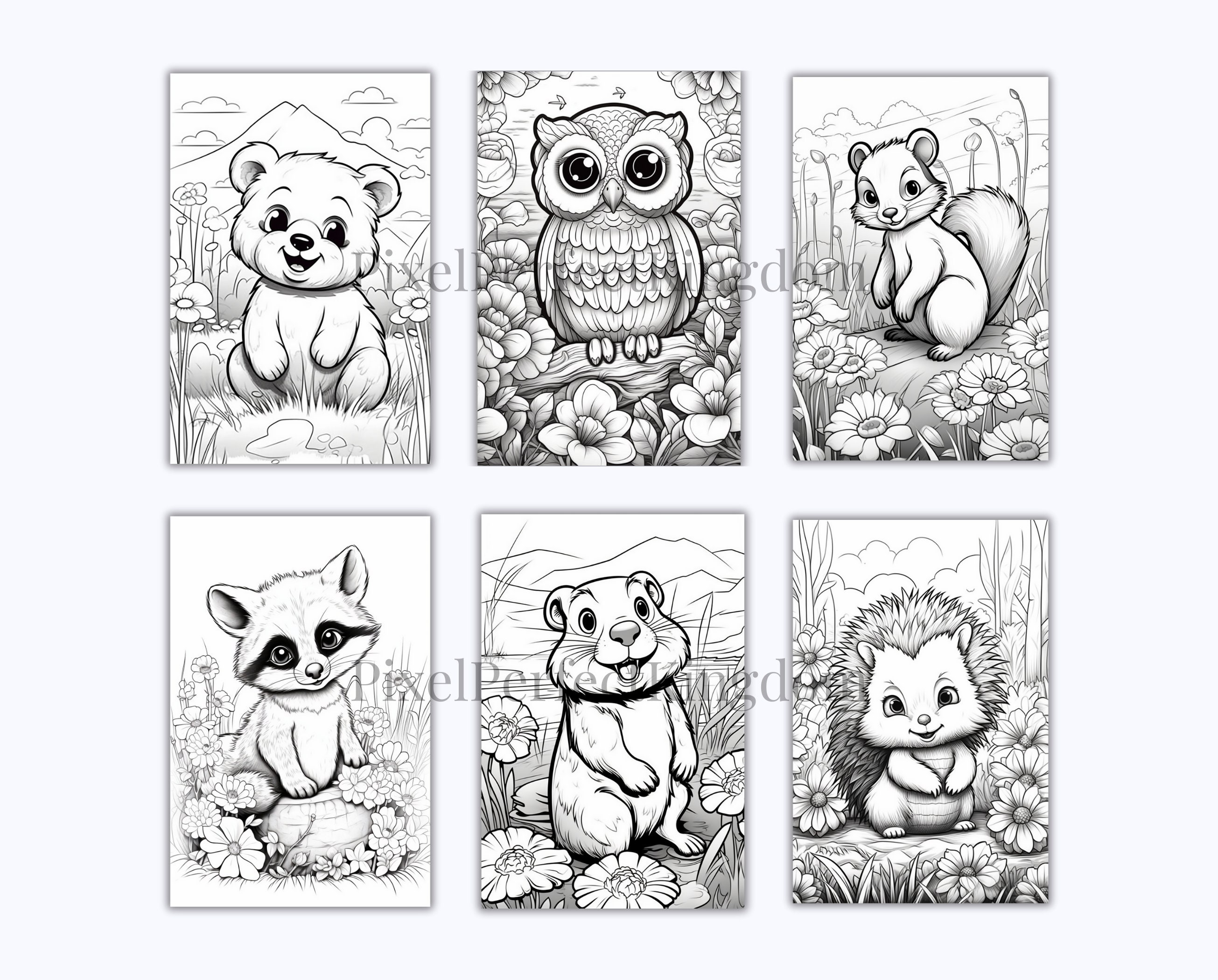 Forest Critters Cute Animal Coloring Page Book, Adults Kids Instant ...