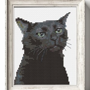 PDF Dissociating Black Cat Zoning Out Meme Funny Cross Stitch for ...