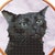 PDF Dissociating Black Cat Zoning Out Meme Funny Cross Stitch for ...
