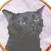 PDF Dissociating Black Cat Zoning Out Meme Funny Cross Stitch for ...