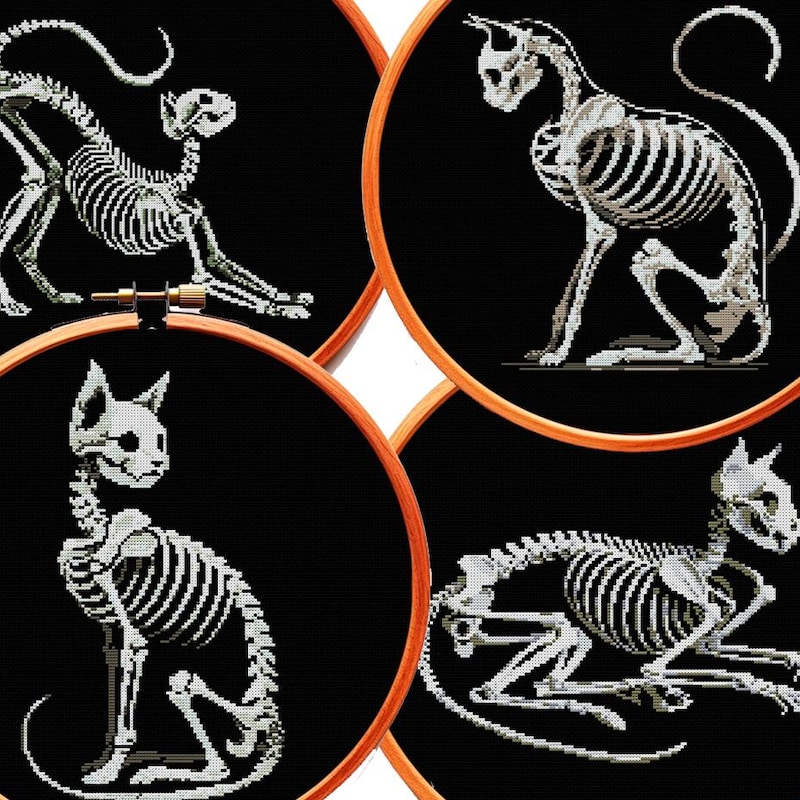 Cat Skeleton - Etsy