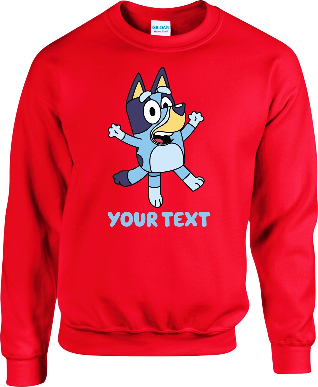 Bluey and Bingo Jumper, Bluey Bingo Puppy Cartoon Character, Animation ...