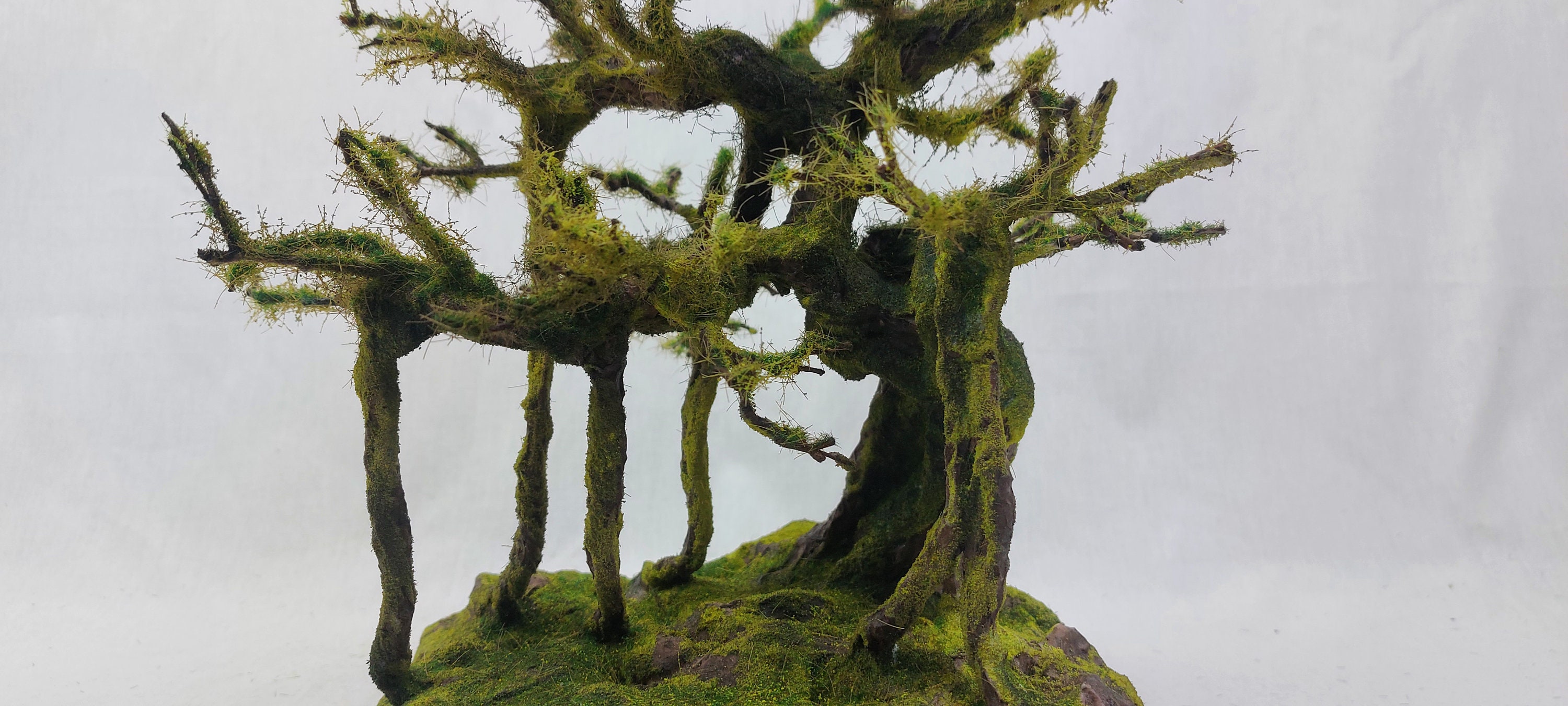 Diorama Bonsai Tree - Etsy