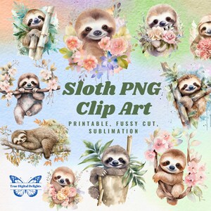10 Cute Watercolor Sloth Clipart. Baby Animals, Baby Sloth PNG. Baby ...