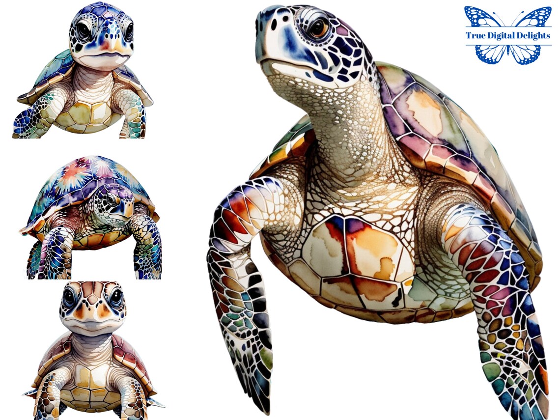 Cute Watercolor Hawaiian Sea Turtle PNG Mini Bundle Clipart. Hawaii ...