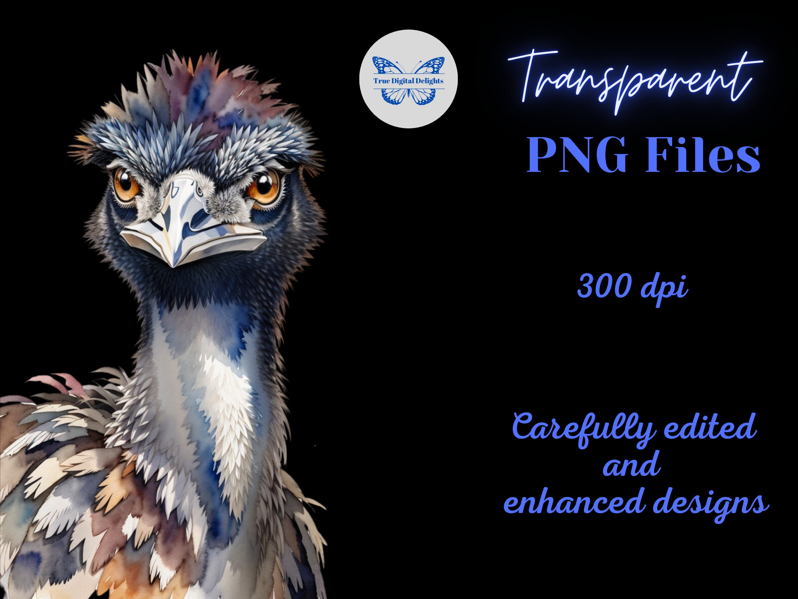 Watercolor Emu Printable PNG Clipart. Exotic Australian Bird Images for ...