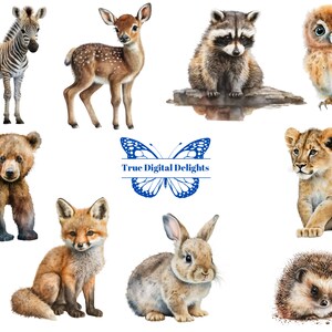 Cute Watercolor Baby Animals PNG Bundle. Woodland Forest, African Baby ...