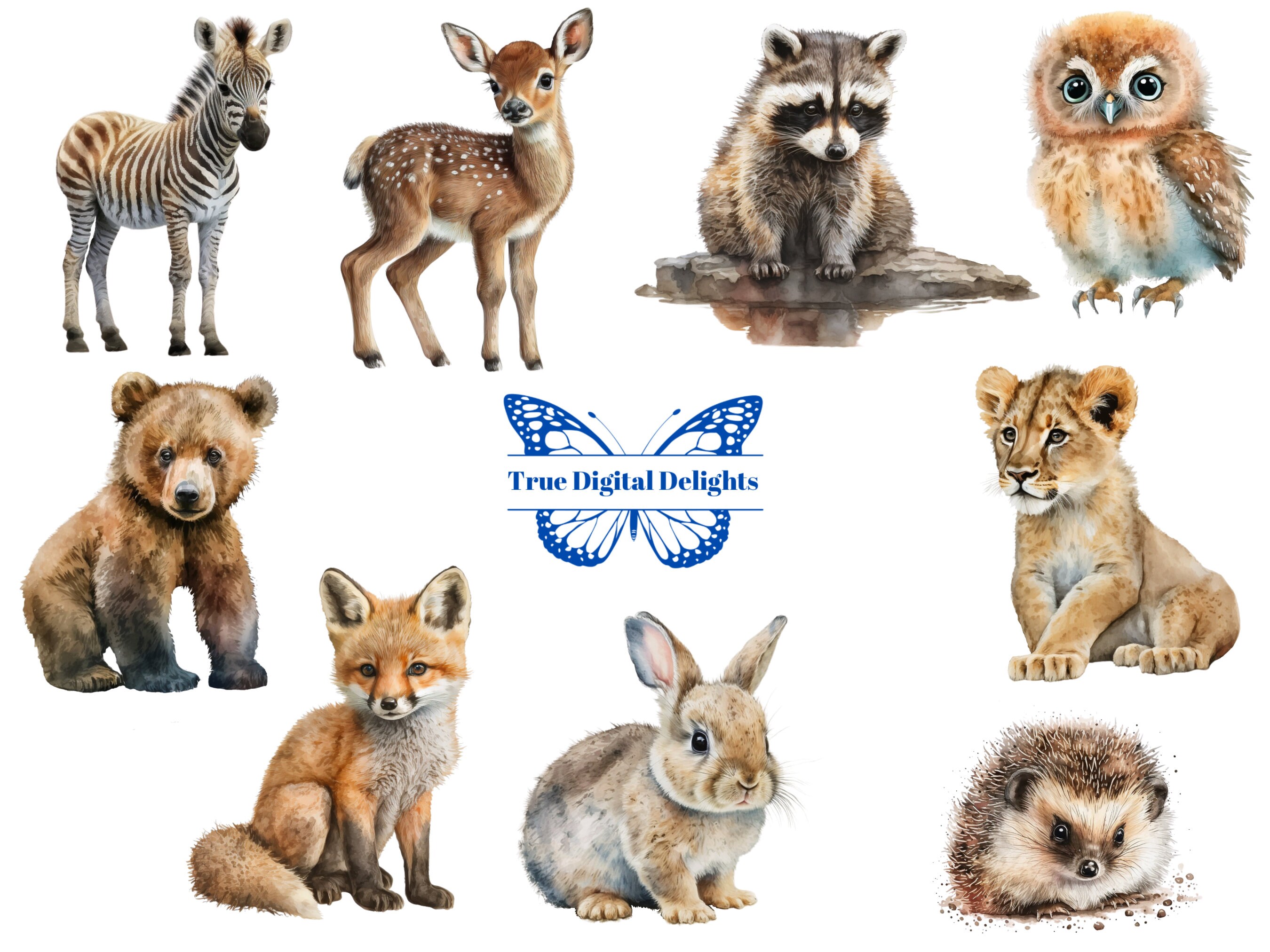 Cute Watercolor Baby Animals PNG Bundle. Woodland Forest, African Baby ...
