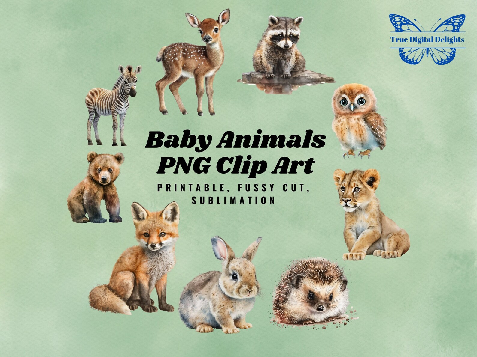 Cute Watercolor Baby Animals PNG Bundle. Woodland Forest, African Baby ...