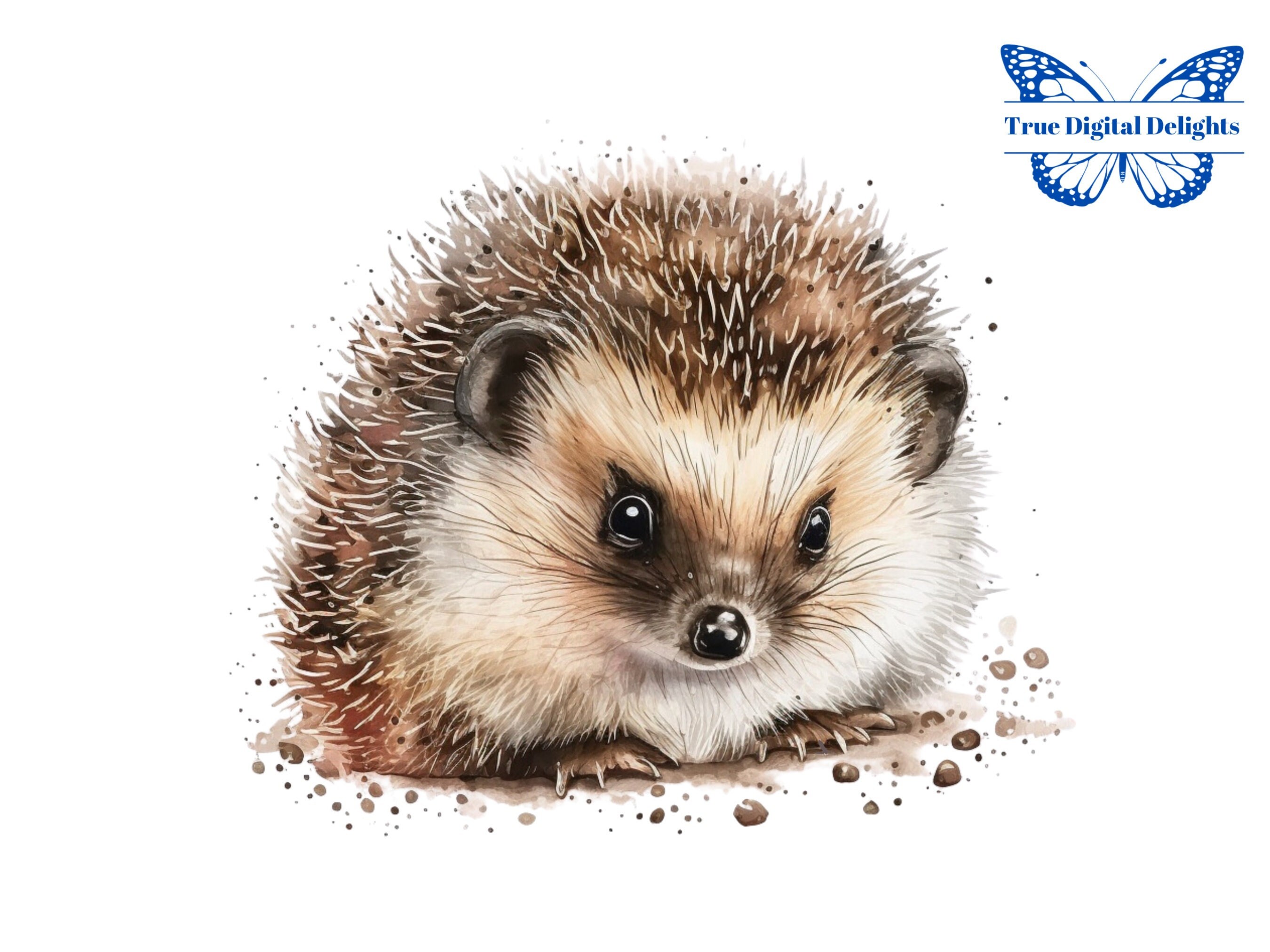 Cute Watercolor Baby Hedgehog PNG. Baby Shower/nursery Decor. - Etsy