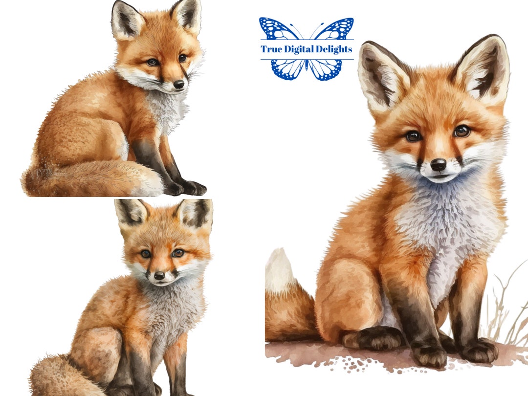 Cute Watercolor Baby Foxes Pngs. Baby Shower/nursery Decor. Woodland ...