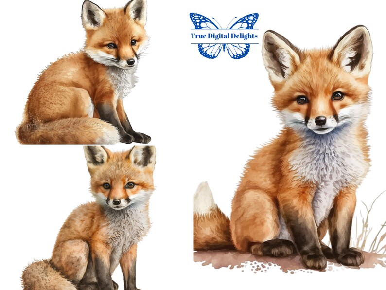 Cute Watercolor Baby Foxes Pngs. Baby Shower/nursery Decor. Woodland ...