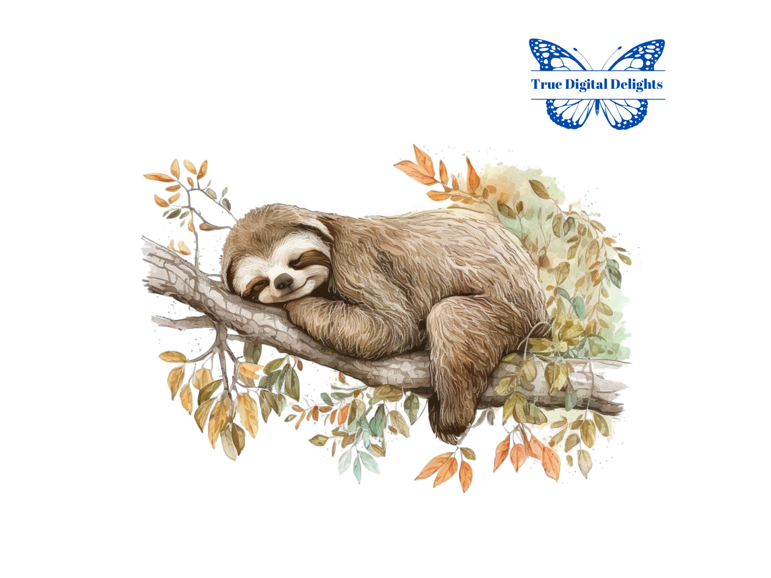 10 Cute Watercolor Sloth Clipart. Baby Animals, Baby Sloth PNG. Baby ...