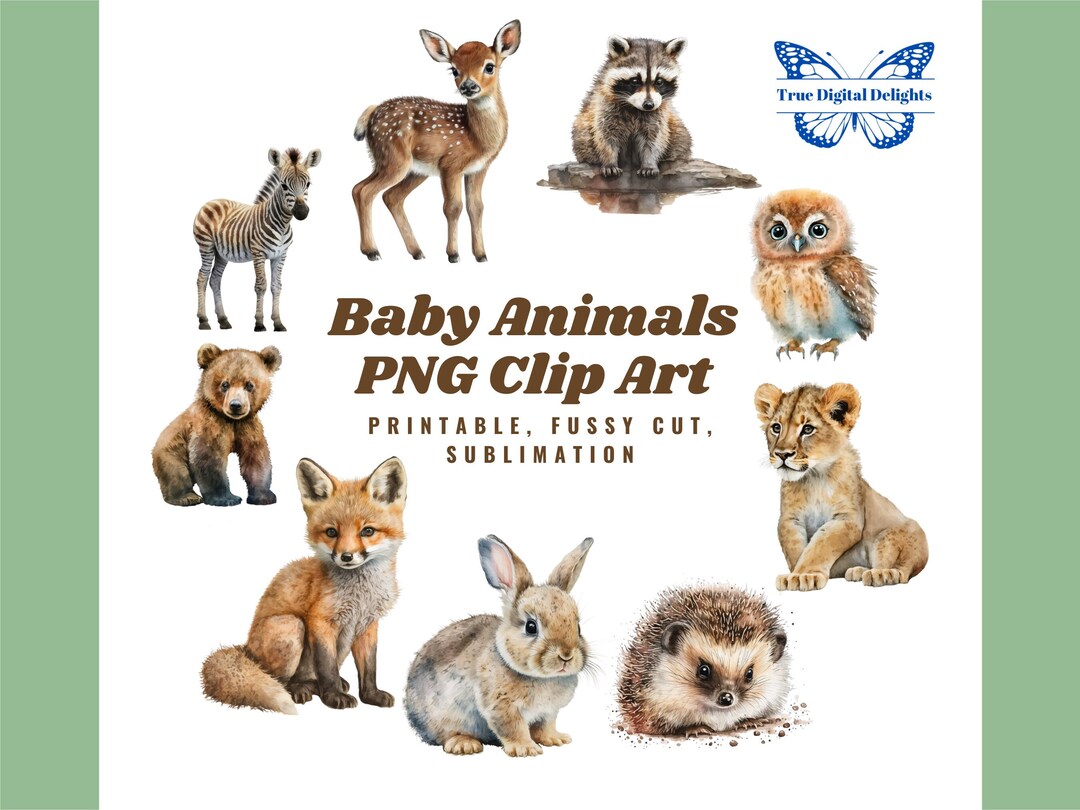 Cute Watercolor Baby Animals PNG Bundle. Woodland Forest, African Baby ...