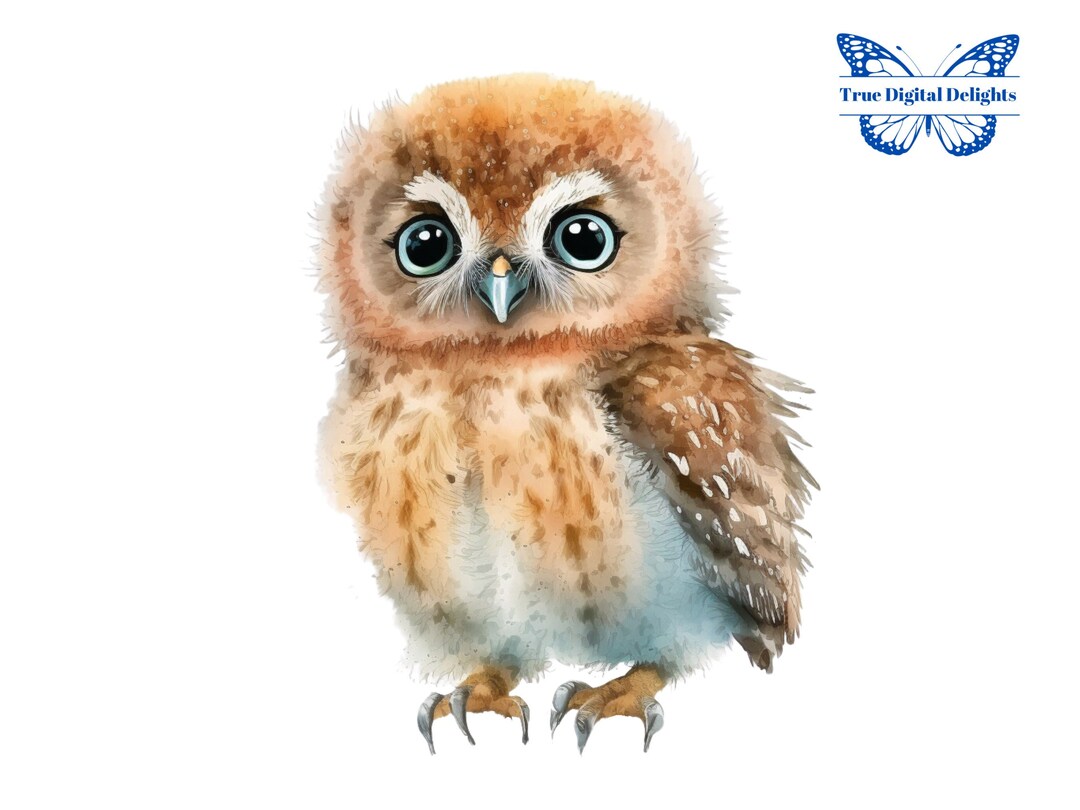 Cute Watercolor Baby Owl PNG. Baby Shower/nursery Decor. Woodland Forest Baby Animals Clipart ...