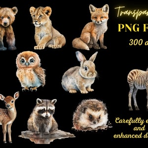 Cute Watercolor Baby Animals PNG Bundle. Woodland Forest, African Baby ...