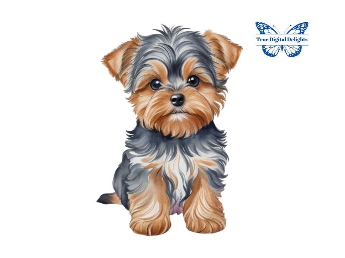 Cute Watercolor Yorkie Puppies Clipart. Yorkshire Terrier Printable PNG ...