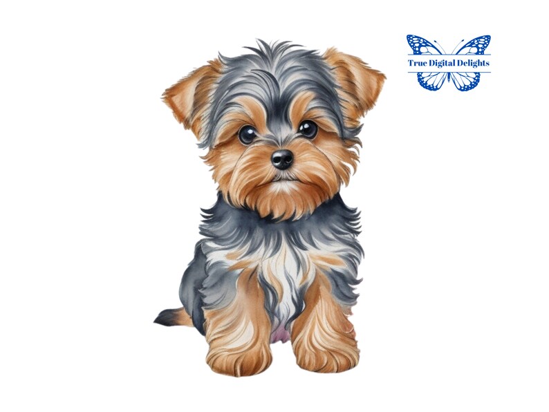 Cute Watercolor Yorkie Puppies Clipart. Yorkshire Terrier Printable PNG ...
