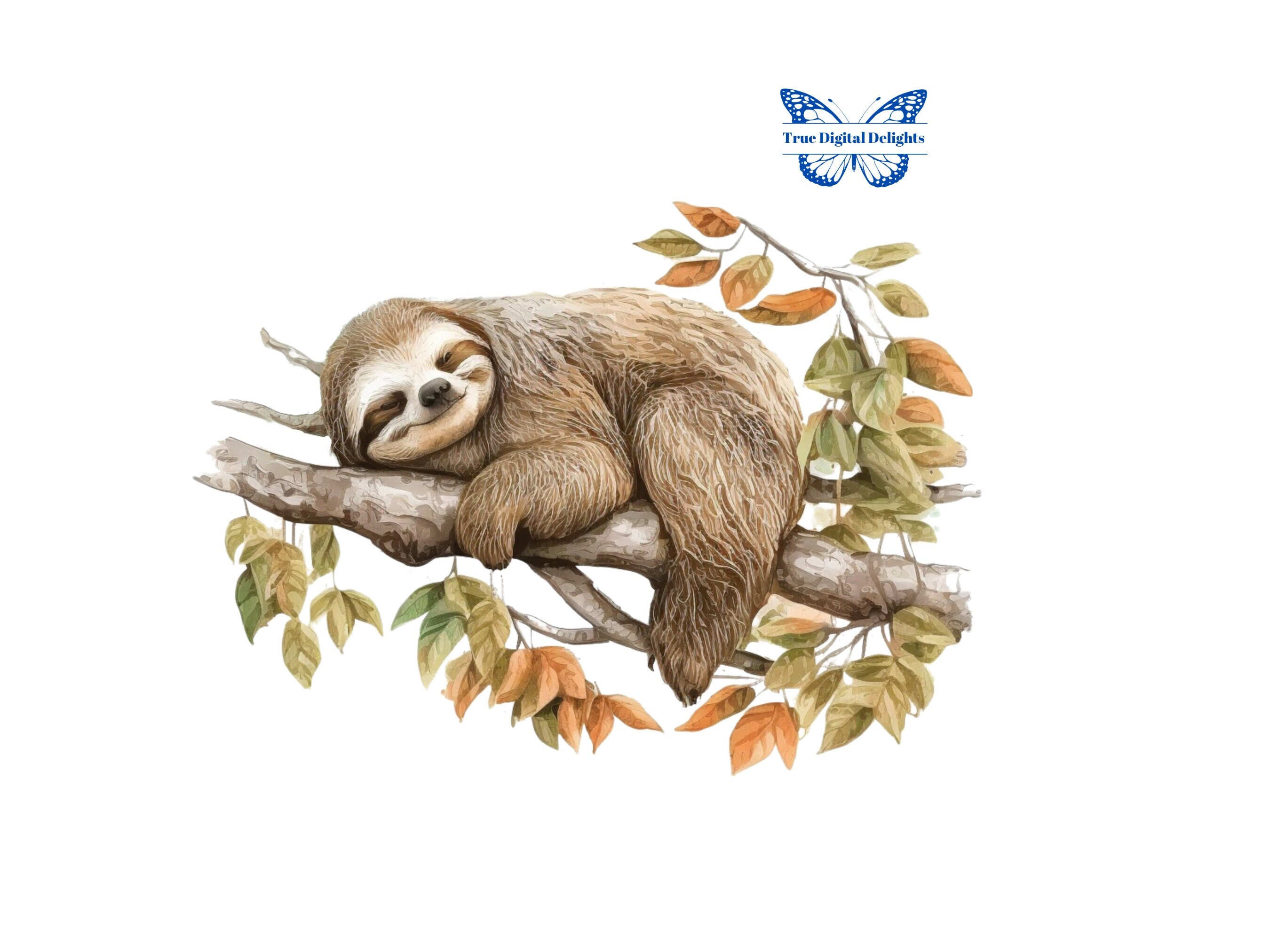 Cute Watercolor Sleeping Sloth in Tree Clipart, Baby Sloth PNG. Baby ...