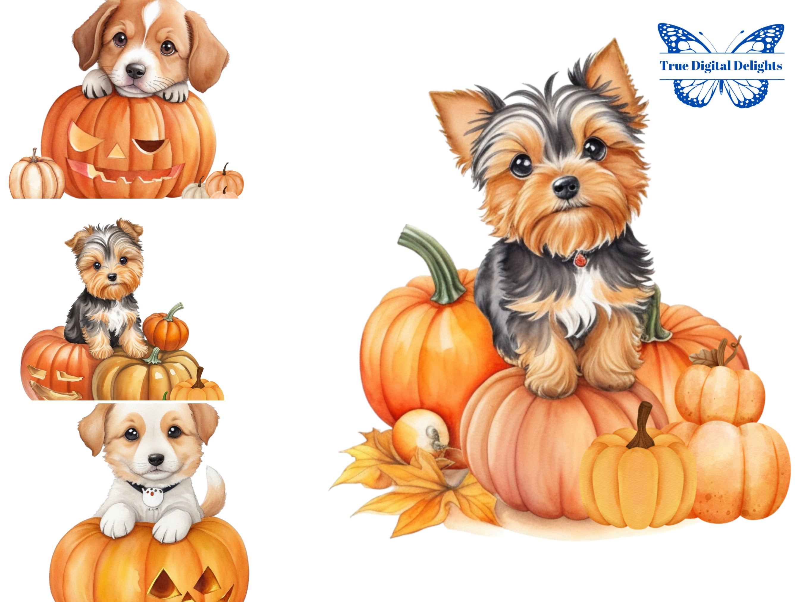 Cute Halloween Puppies & Pumpkin Clipart. Puppy and Jack-o-lantern PNG ...
