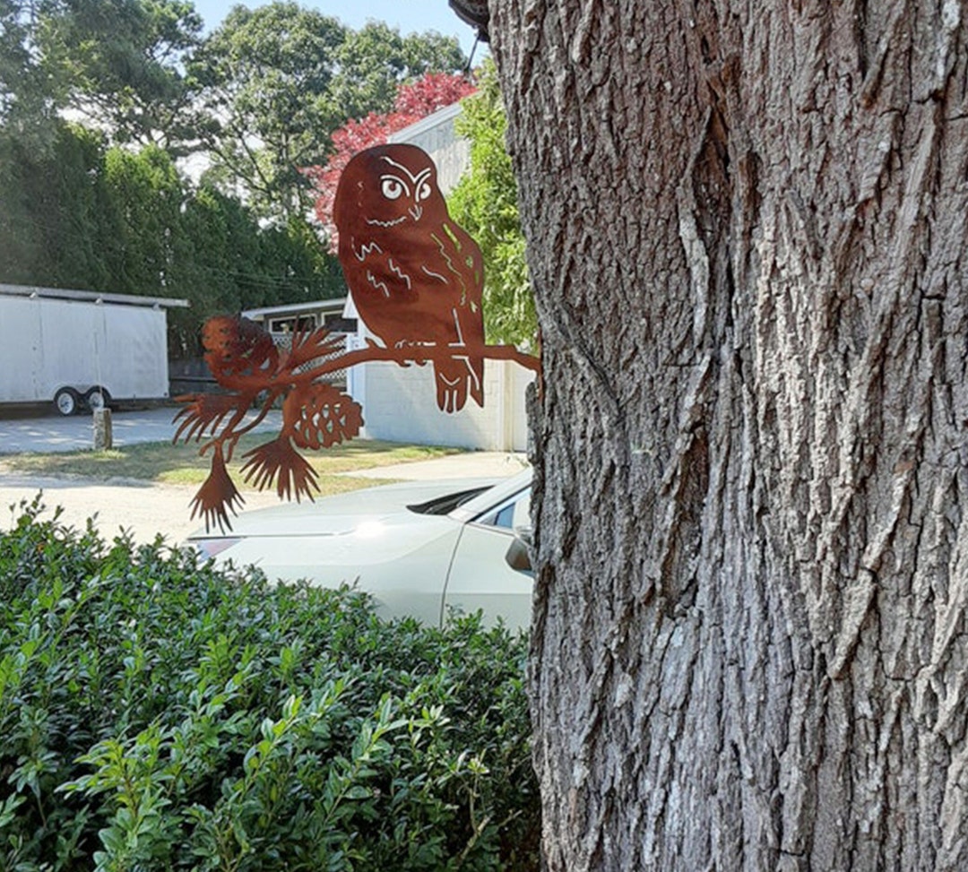 Saw-whet Owl on Pine Branch, Rusty Metal Owl, Owl and Pine Cones, Metal ...