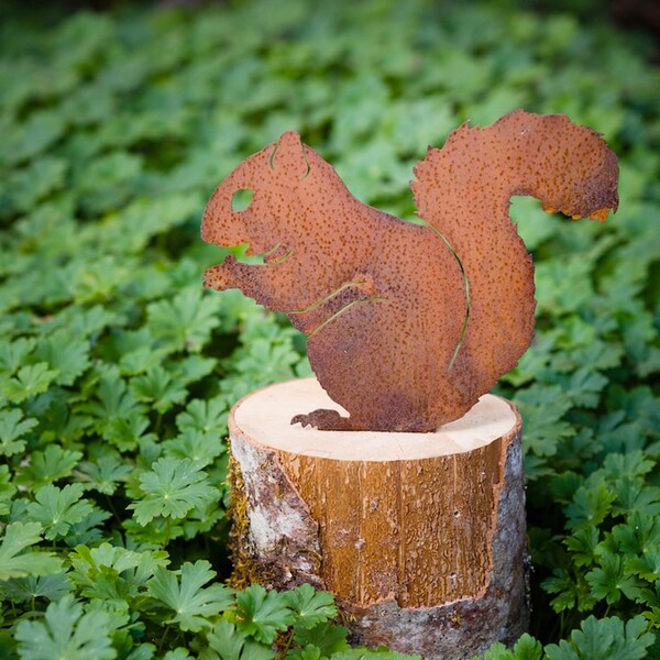 Metal Squirrel - Etsy