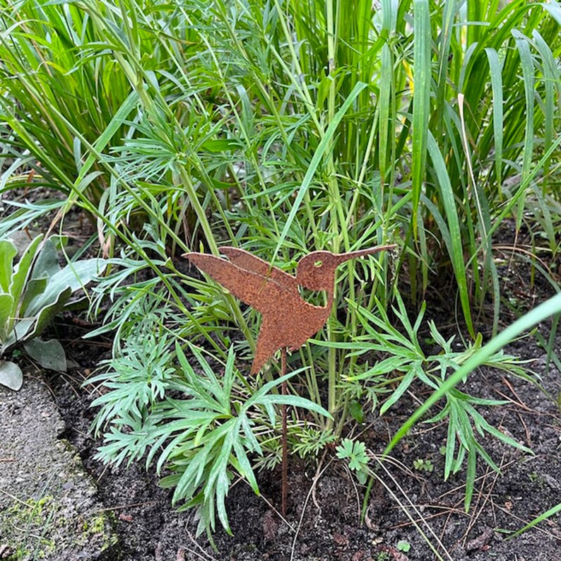Rusted Metal Hummingbird Garden Stake Hummingbird Silhouette - Etsy
