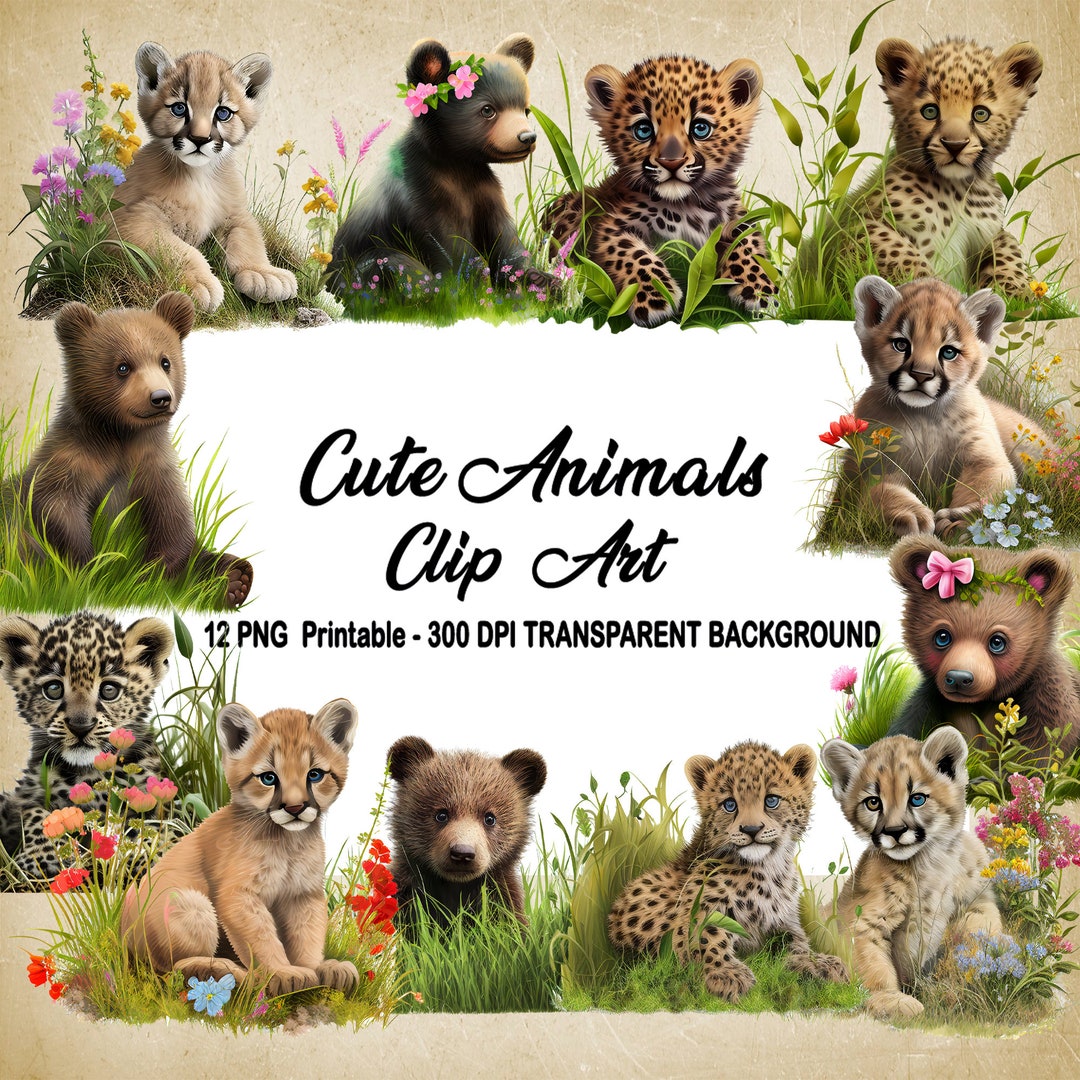 12 Cute Animals Clipart, Watercolor Safari Animals PNG, Baby Animal ...