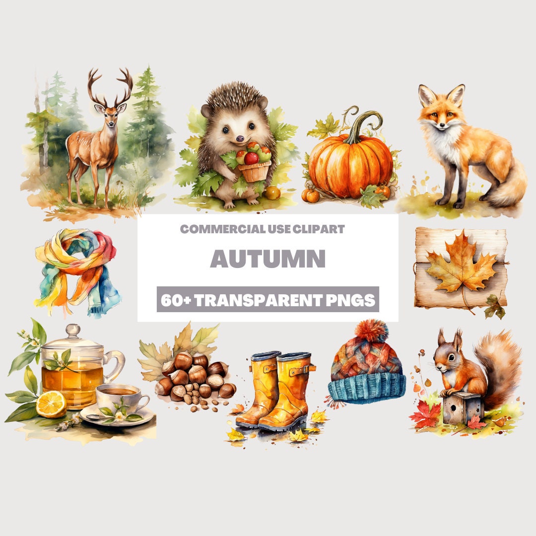 60+ Watercolor Autumn PNG, Clipart Bundle, Autumn Illustrations, Cute ...